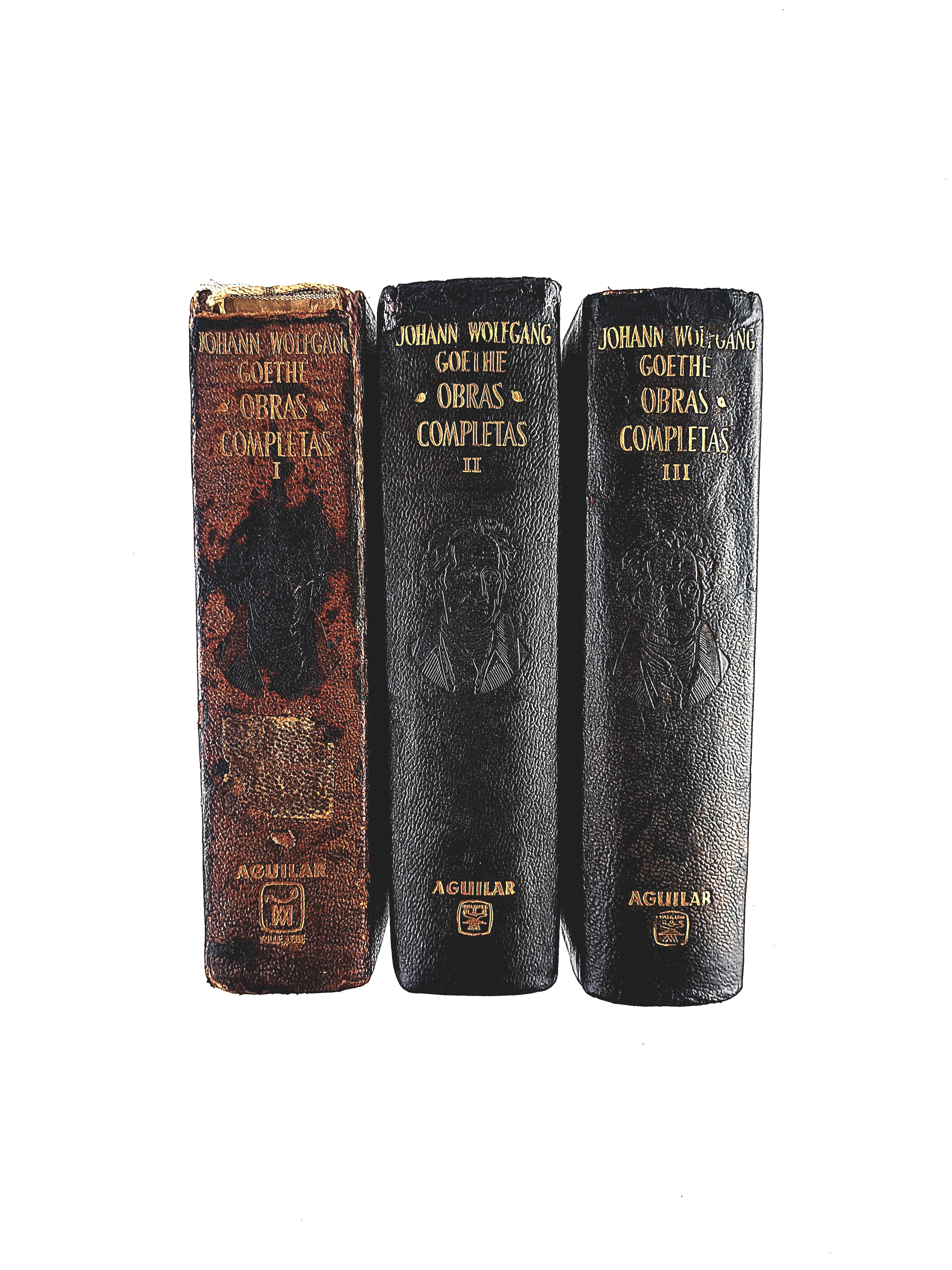 Johann Wolfgang Goethe Obras Completas 3 Volumenes – libreriatroya.com