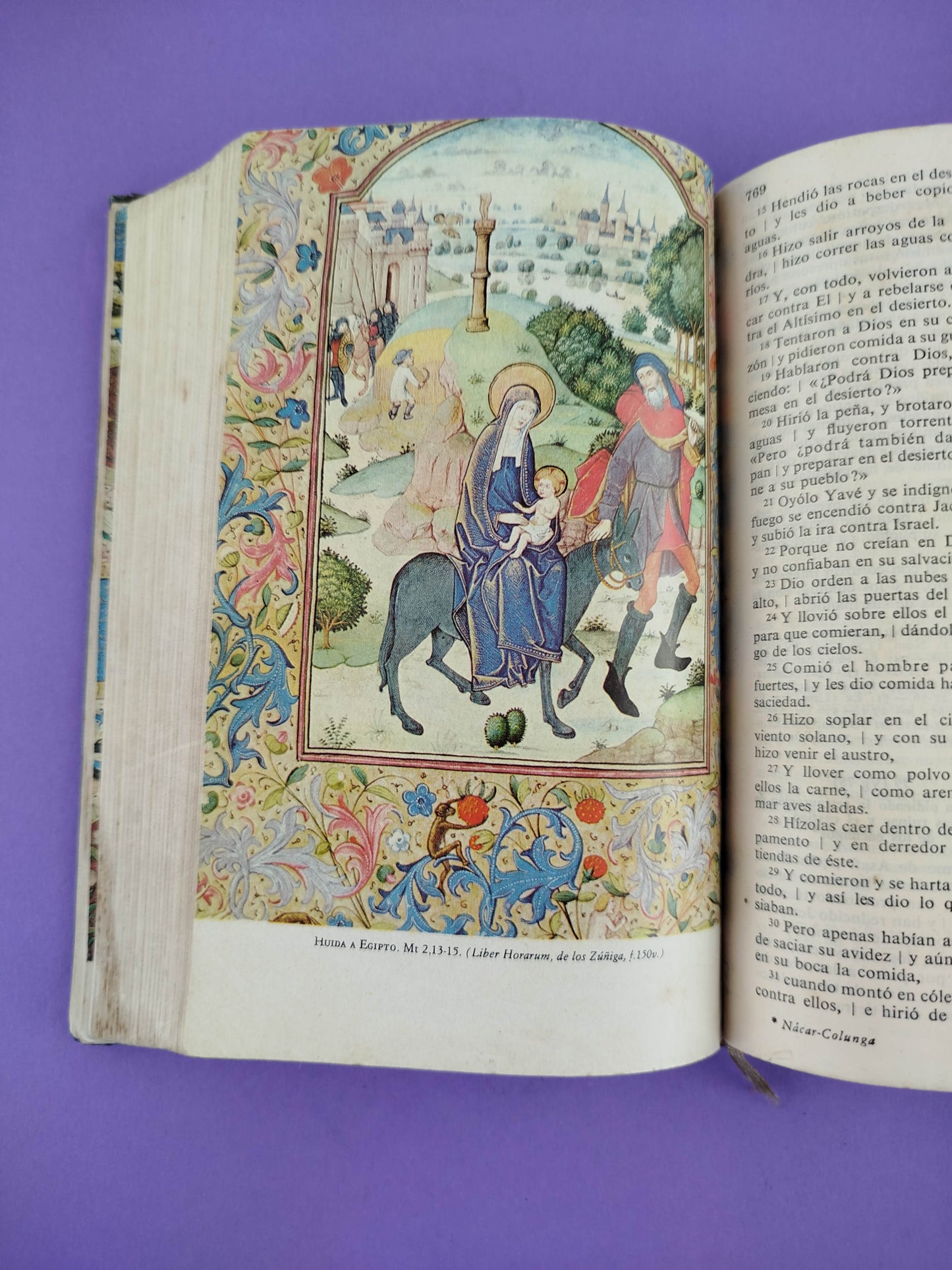 Biblia nacar colunga pasta dura – libreriatroya.com