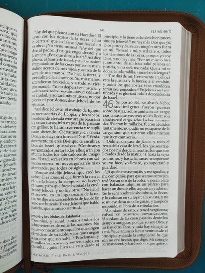 Biblia rvr 1960 letra grande tipo agenda marrón miel con cierre e imág ...
